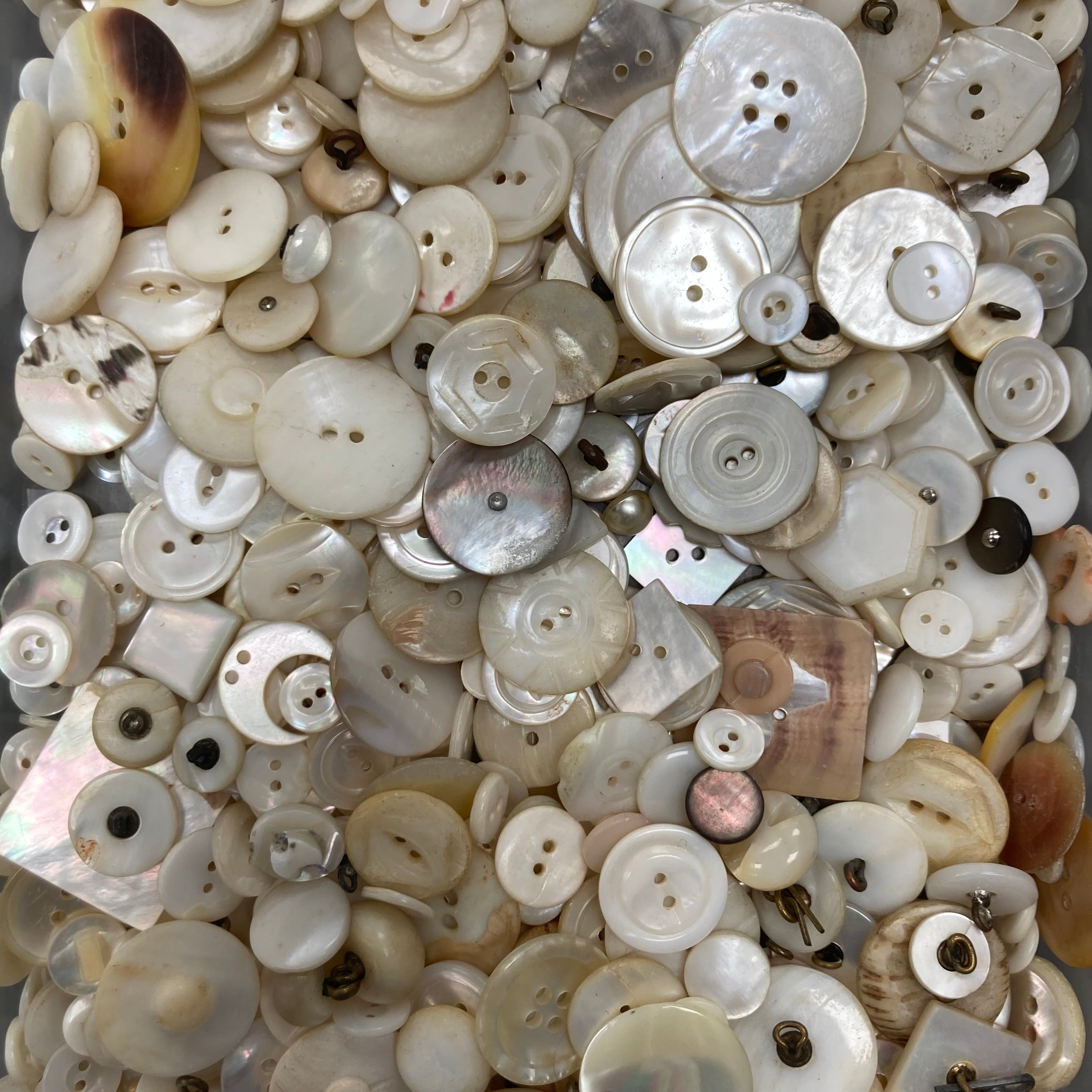 Button Assortment - Mother of Pearl and Shell – Jennifer Wiles Studio